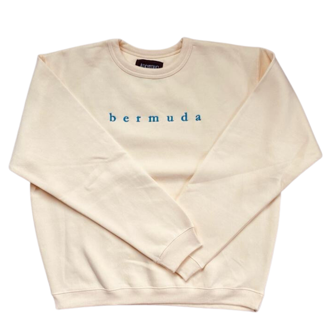 Embroidered small caps crewneck sweatshirt – Flying Colours